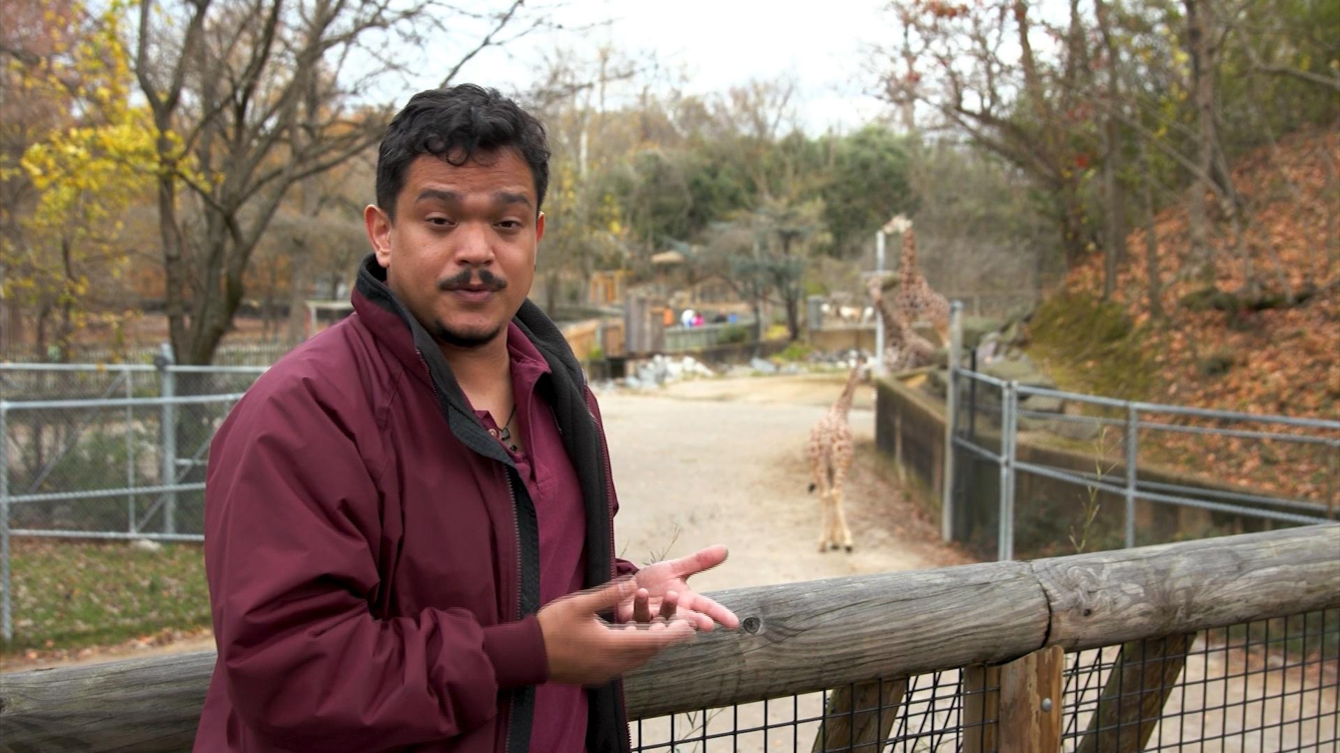 Animal Shelters | Let's Learn | PBS LearningMedia