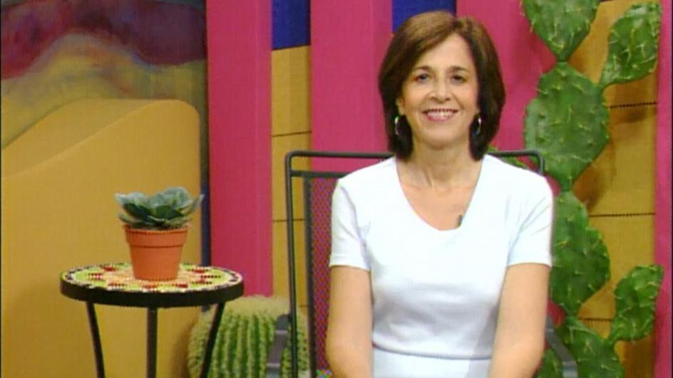 ¡Arte y más! Lesson 7 | PBS LearningMedia