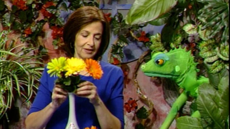 ¡Arte y más! Lesson 9 | PBS LearningMedia