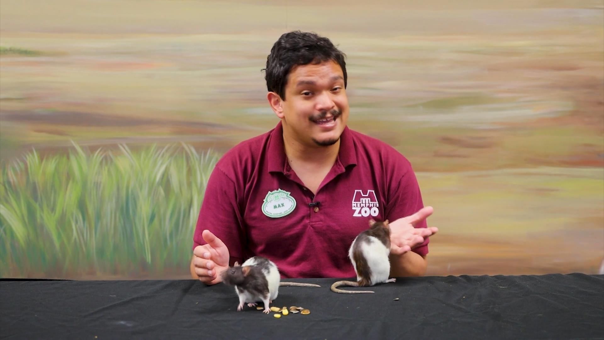 Social Lives of Animals | Let's Learn | PBS LearningMedia