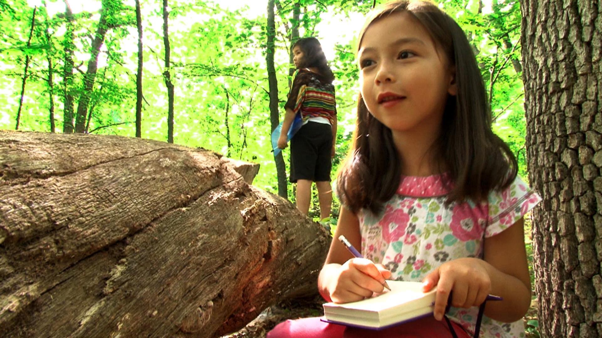 Finding Forests | PLUM LANDING™ | PBS LearningMedia