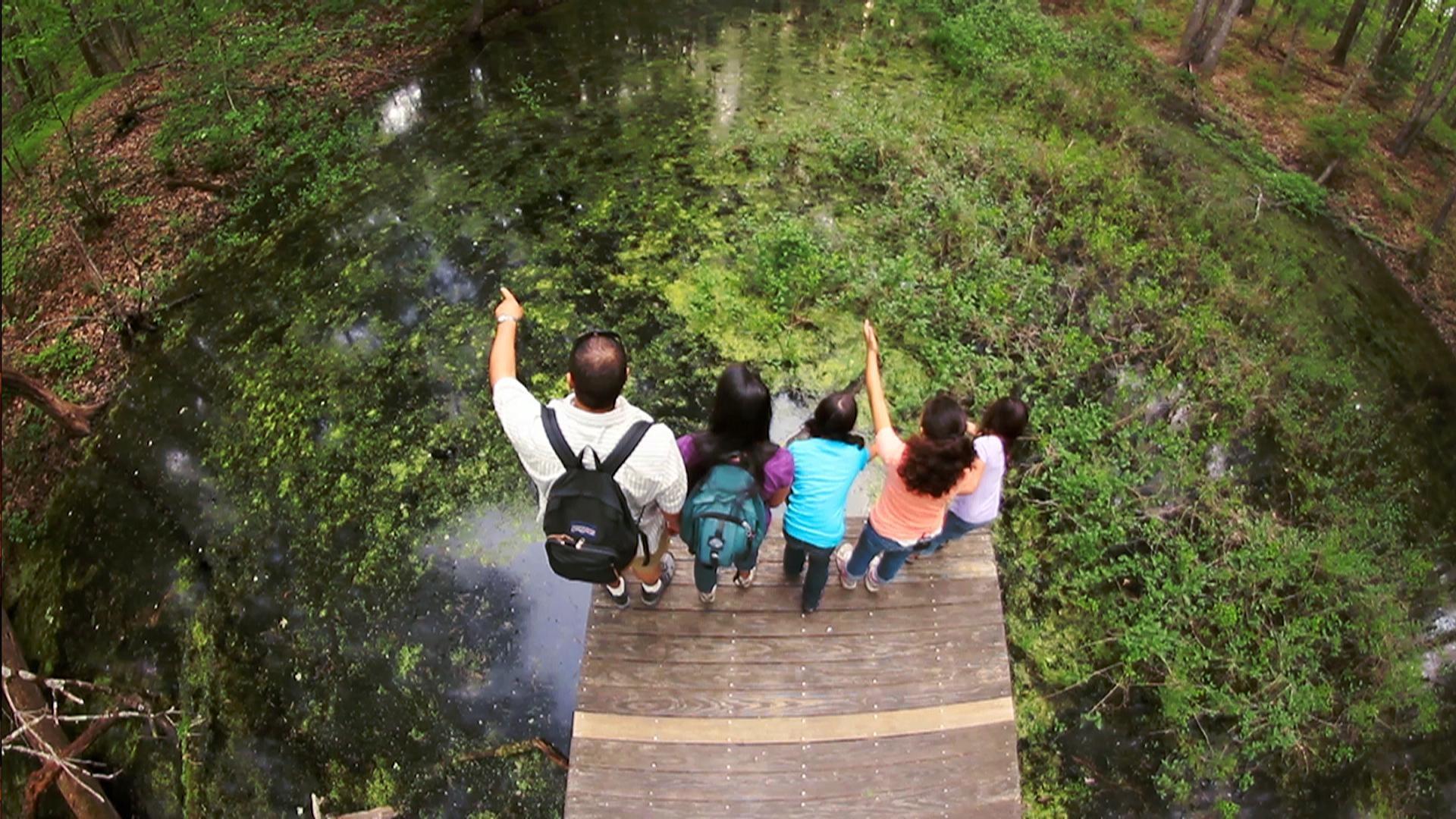 Visit a Vernal Pool | PLUM LANDING™ | PBS LearningMedia