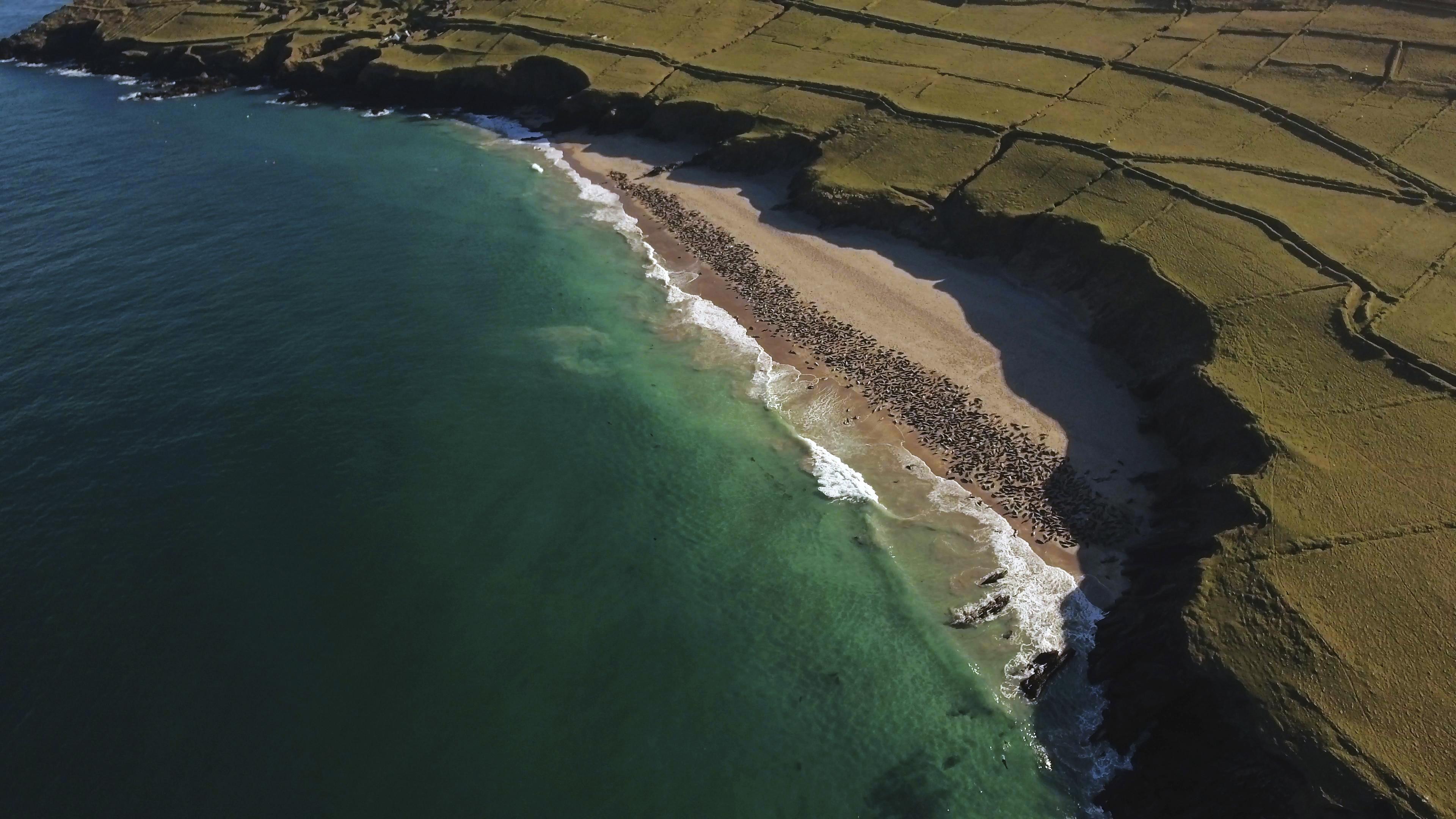 Offshore Island Exploration | Ireland's Wild Coast | PBS LearningMedia