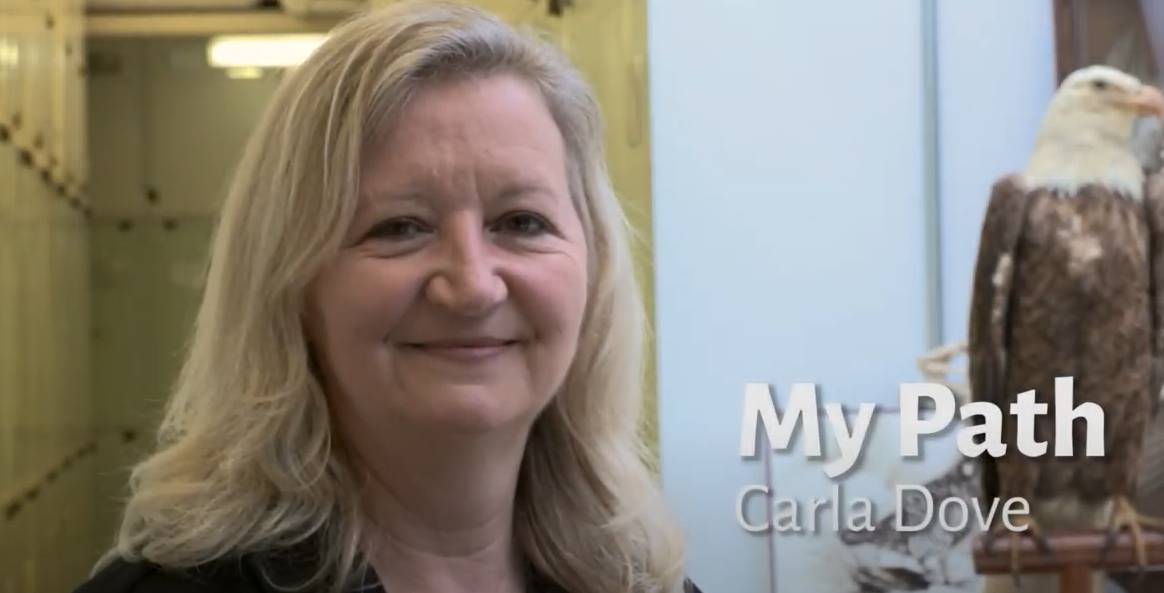 Carla Dove's Instagram, Twitter & Facebook on IDCrawl