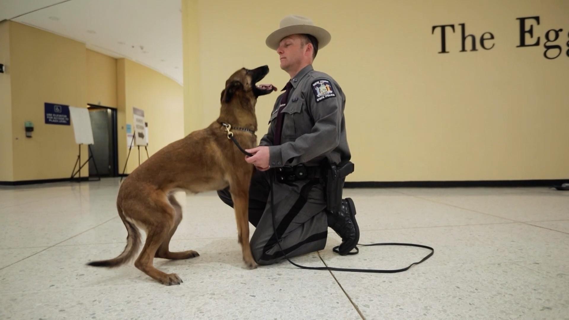 New York State Police Canine Unit | Camp TV | PBS LearningMedia