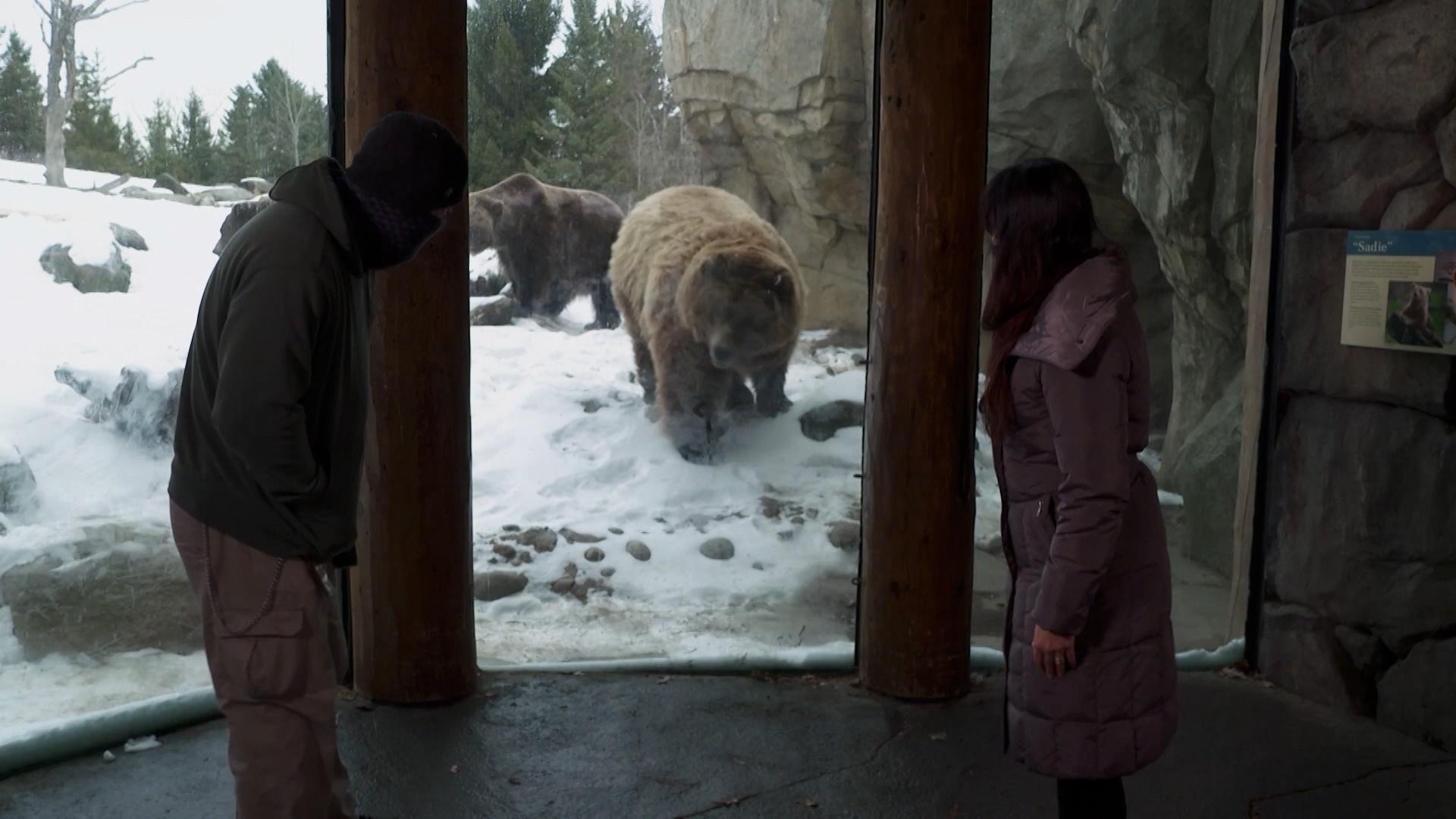 Zoo Animals | Camp TV | PBS LearningMedia