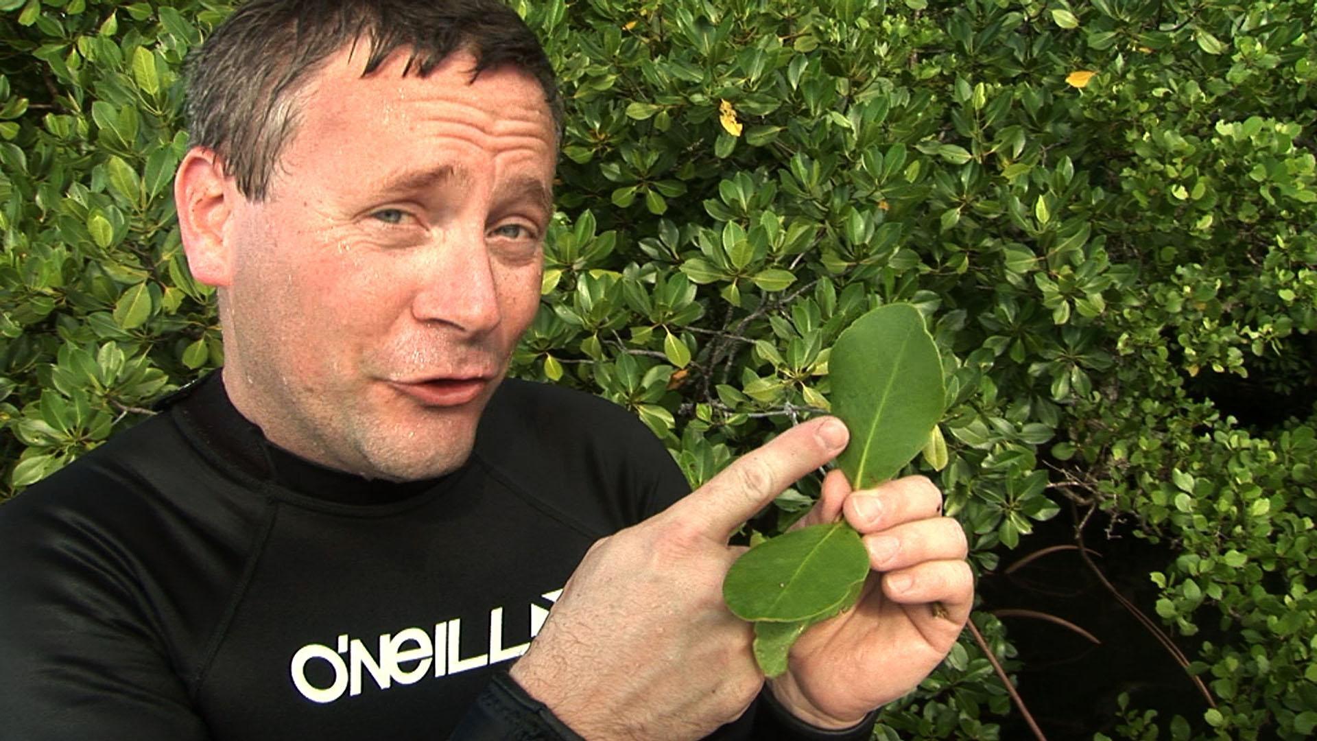 Jonathan Blue's Instagram, Twitter & Facebook on IDCrawl