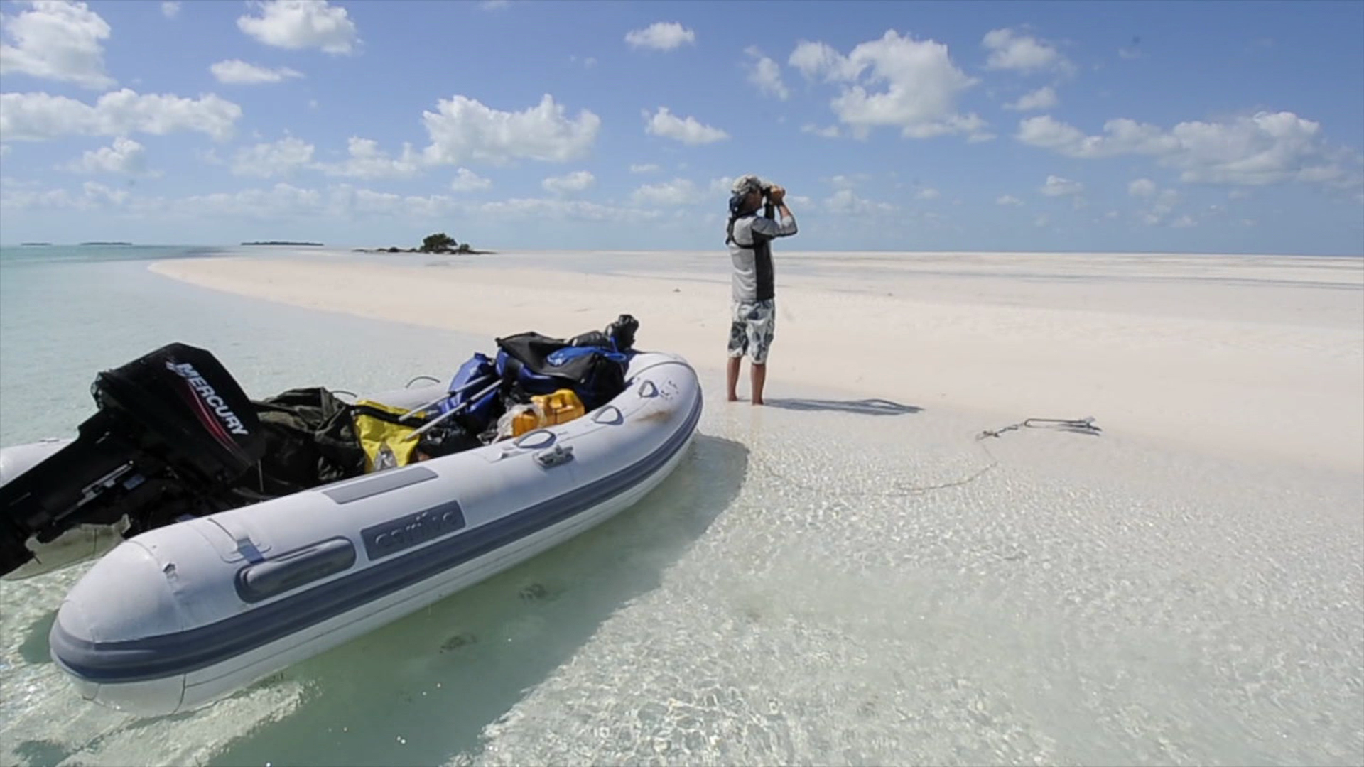 Resting Point | PBS LearningMedia