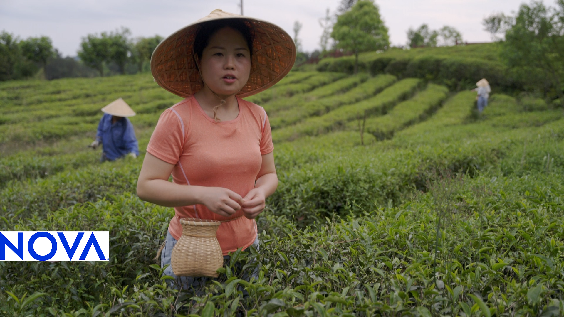5G Technology for Farming and Mining | Inside China’s Tech Boom ...