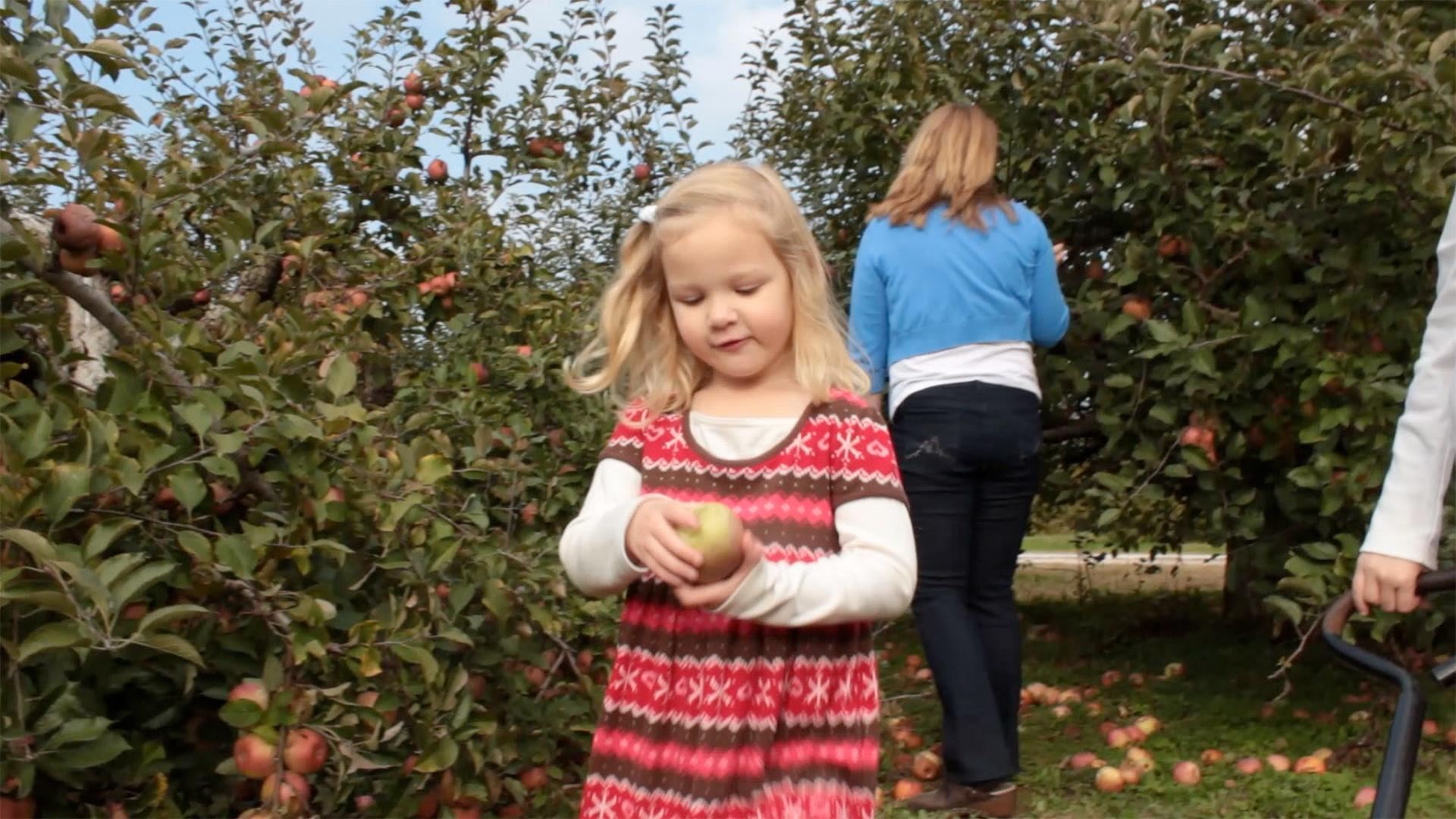 Exploring Our Senses | Everyday Learning | PBS LearningMedia