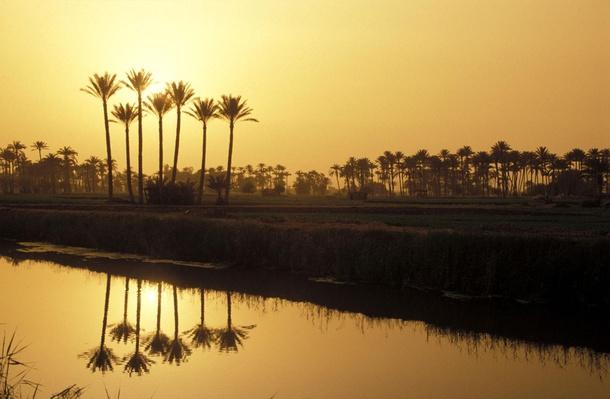 Observe Sunrise and Sunset | Science | Video | PBS LearningMedia