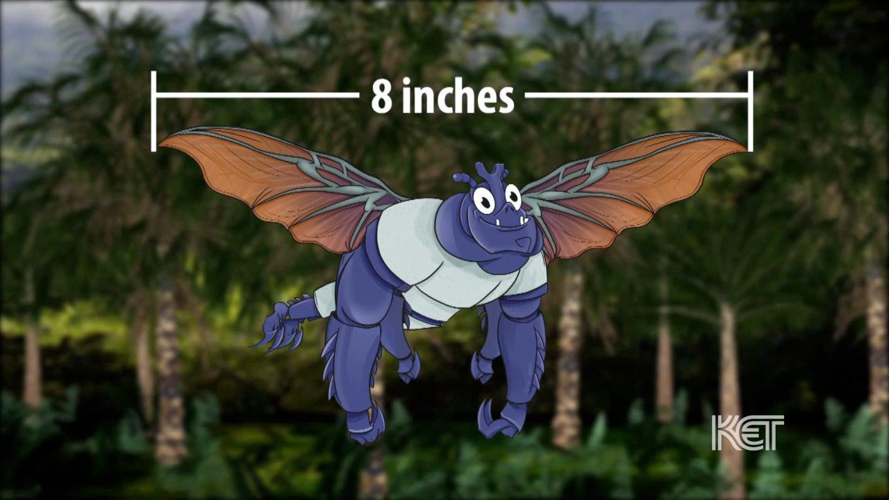 Favorite Animation Projects | Video Production: Behind the Scenes with ...