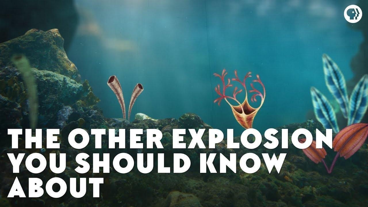The Other Explosion You Should Know about | Eons | PBS LearningMedia