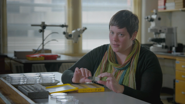 Evidence for Early Migration | First Peoples: Americas | PBS LearningMedia