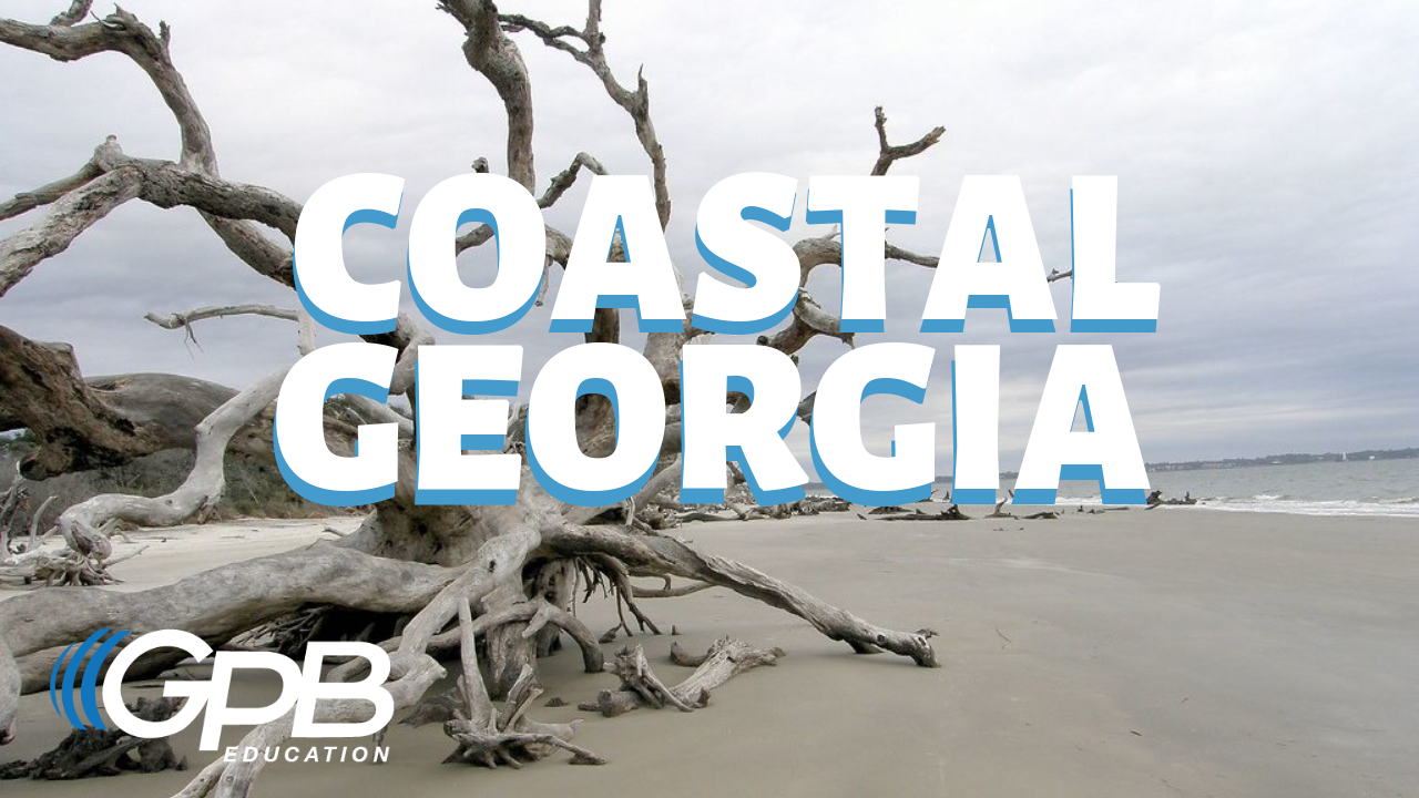 Barrier Islands | Physical Features of Georgia | PBS LearningMedia