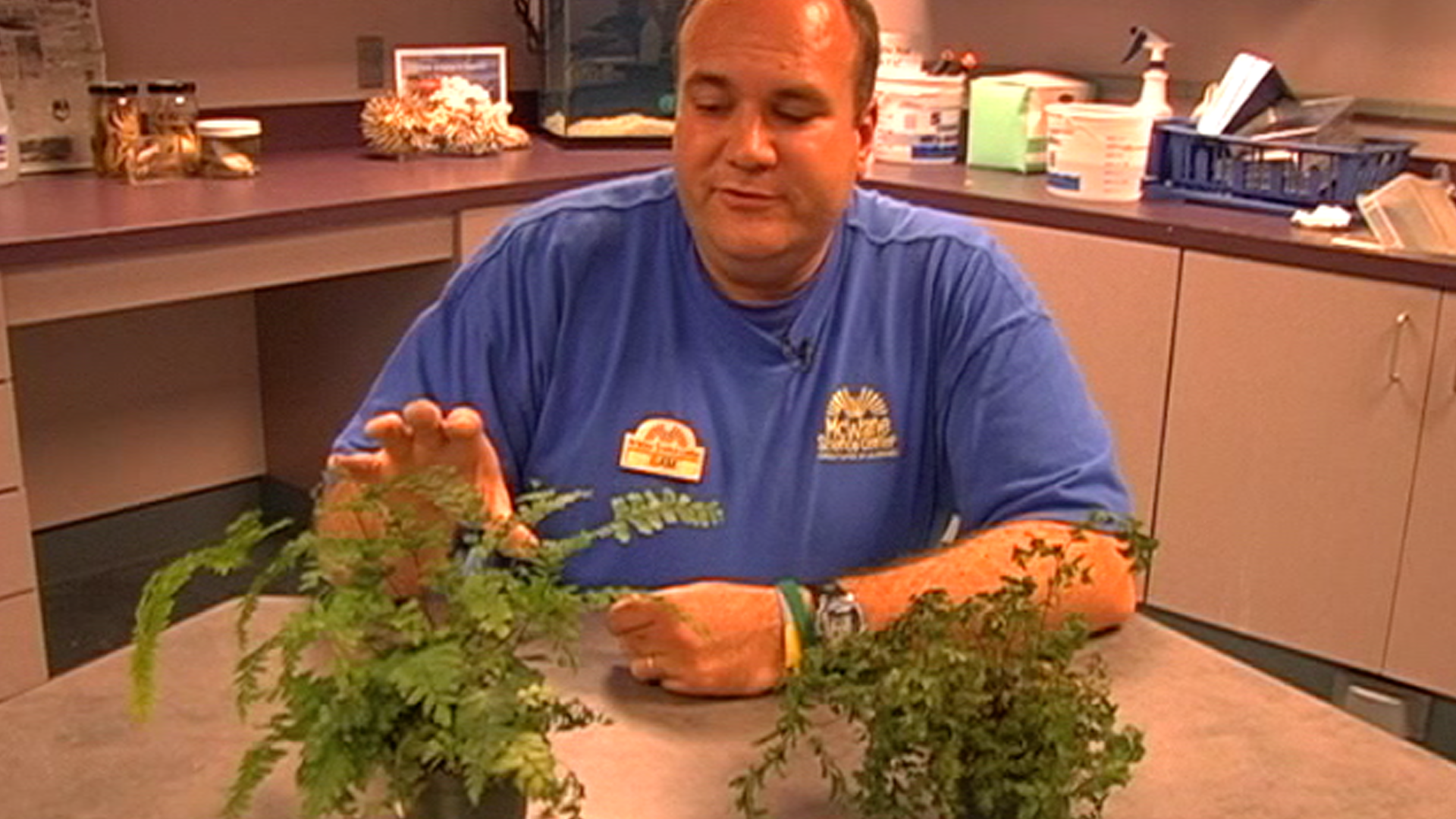 Acid Rain | Planet H2O | PBS LearningMedia