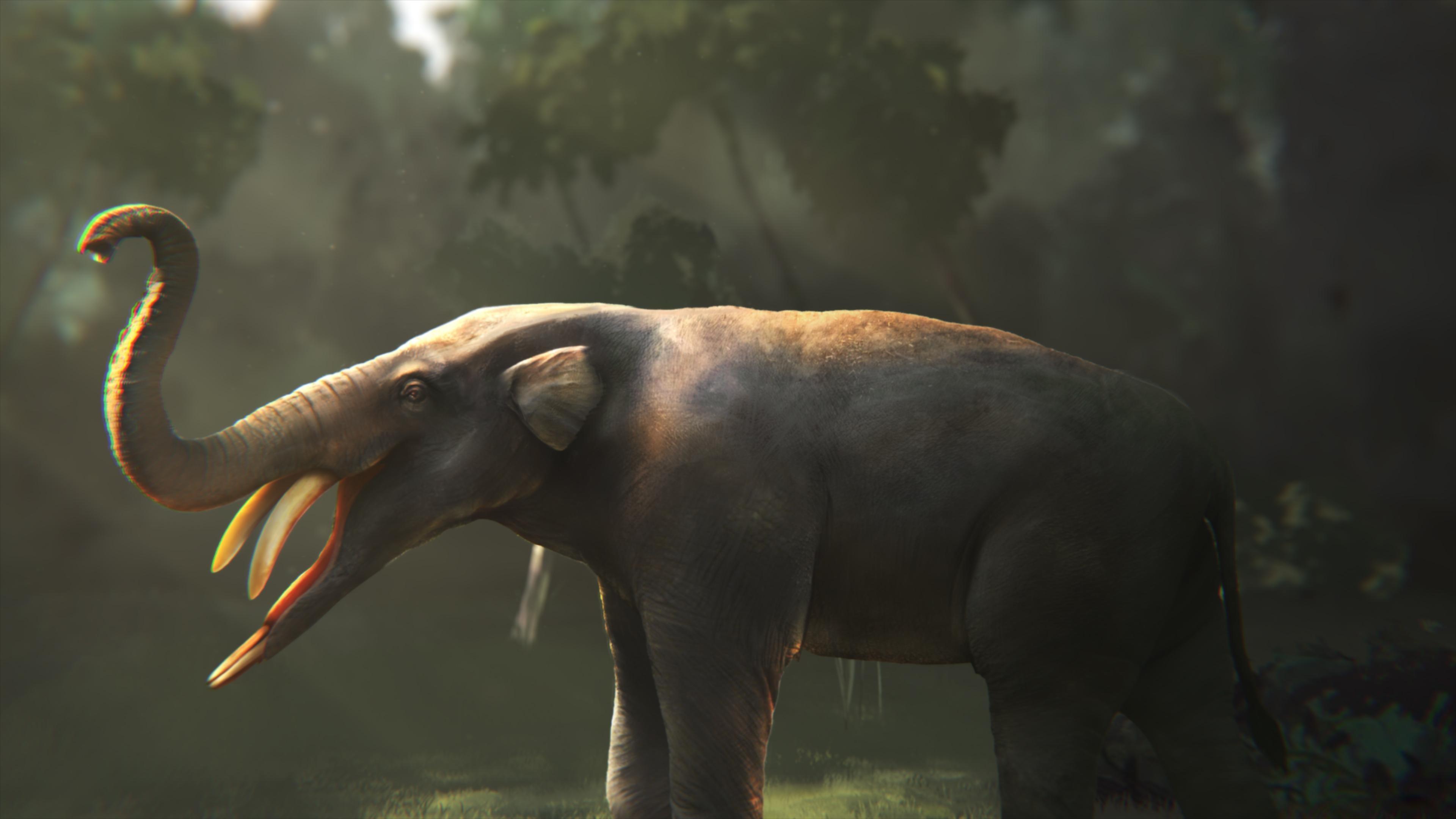 Age of Elephants | PBS LearningMedia