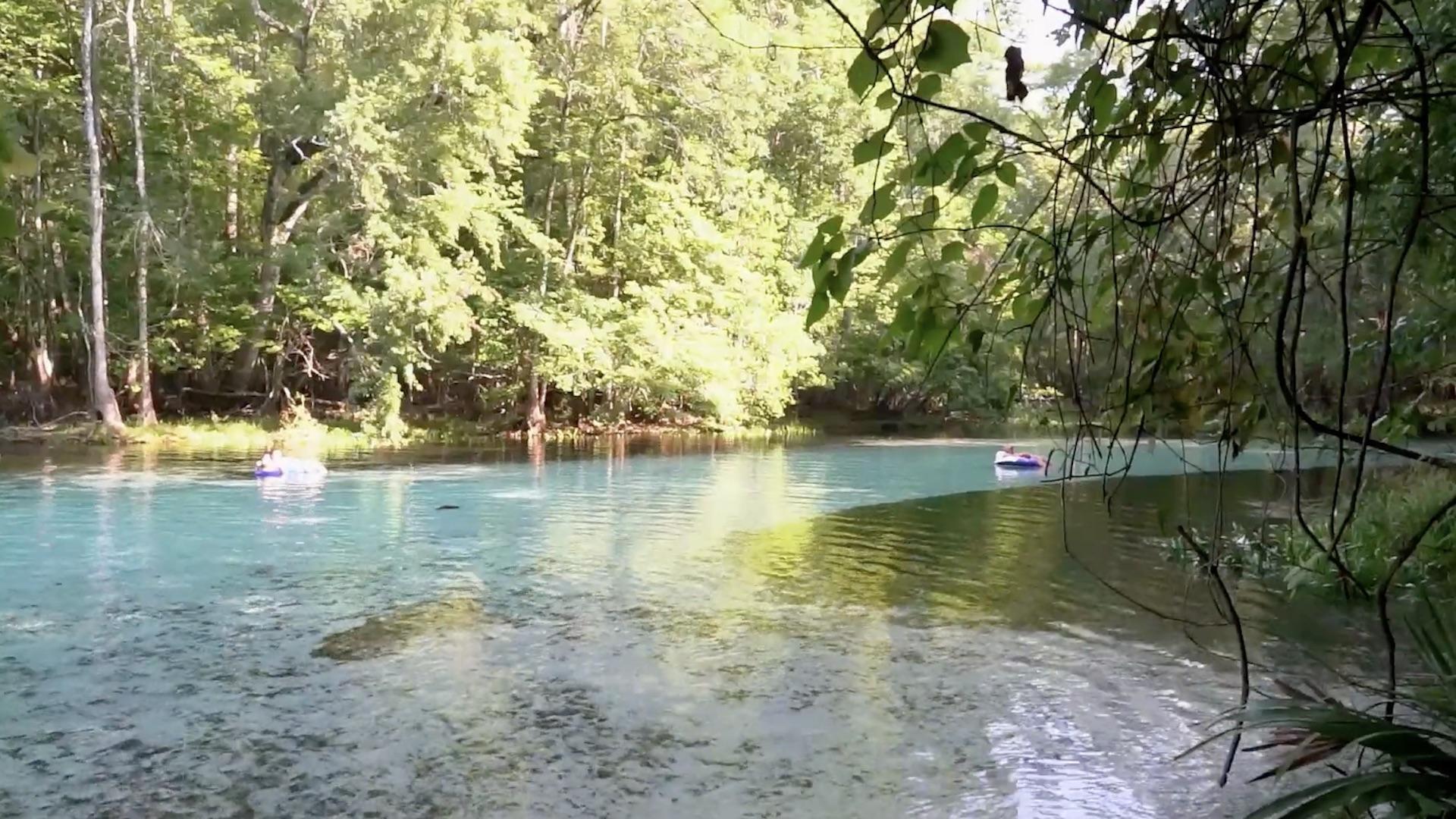 The Floridan Aquifer (As Above, So Below) | EcoSense for Living ...