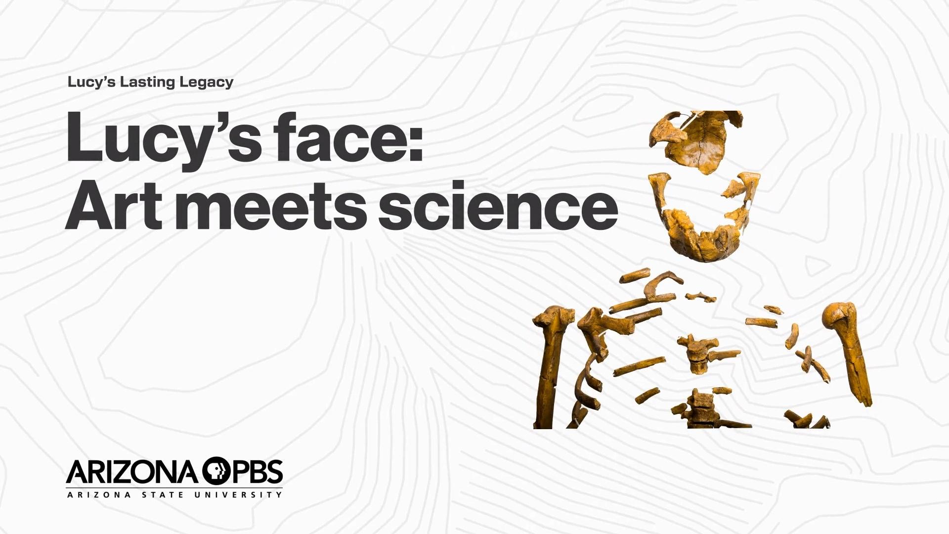 Art Meets Science | Lucy 50: A Year for Human Origins | PBS LearningMedia