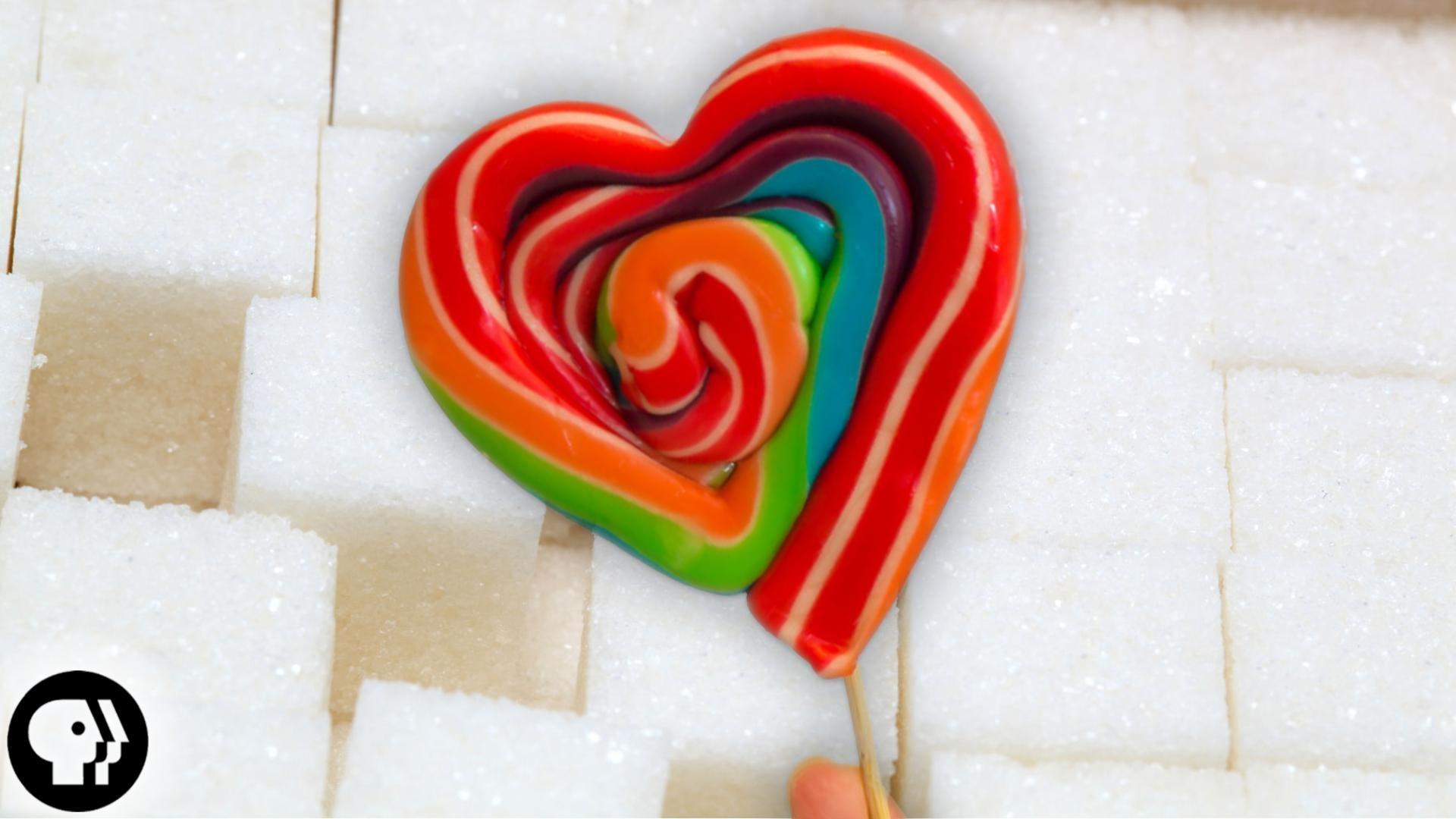 Why Do We Love Sugar? | Braincraft | PBS LearningMedia
