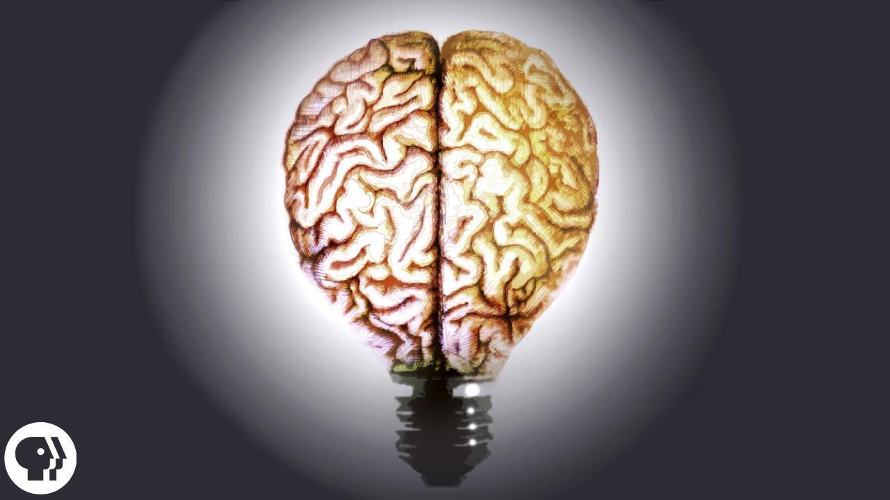 The Secret to Creativity | Braincraft | PBS LearningMedia