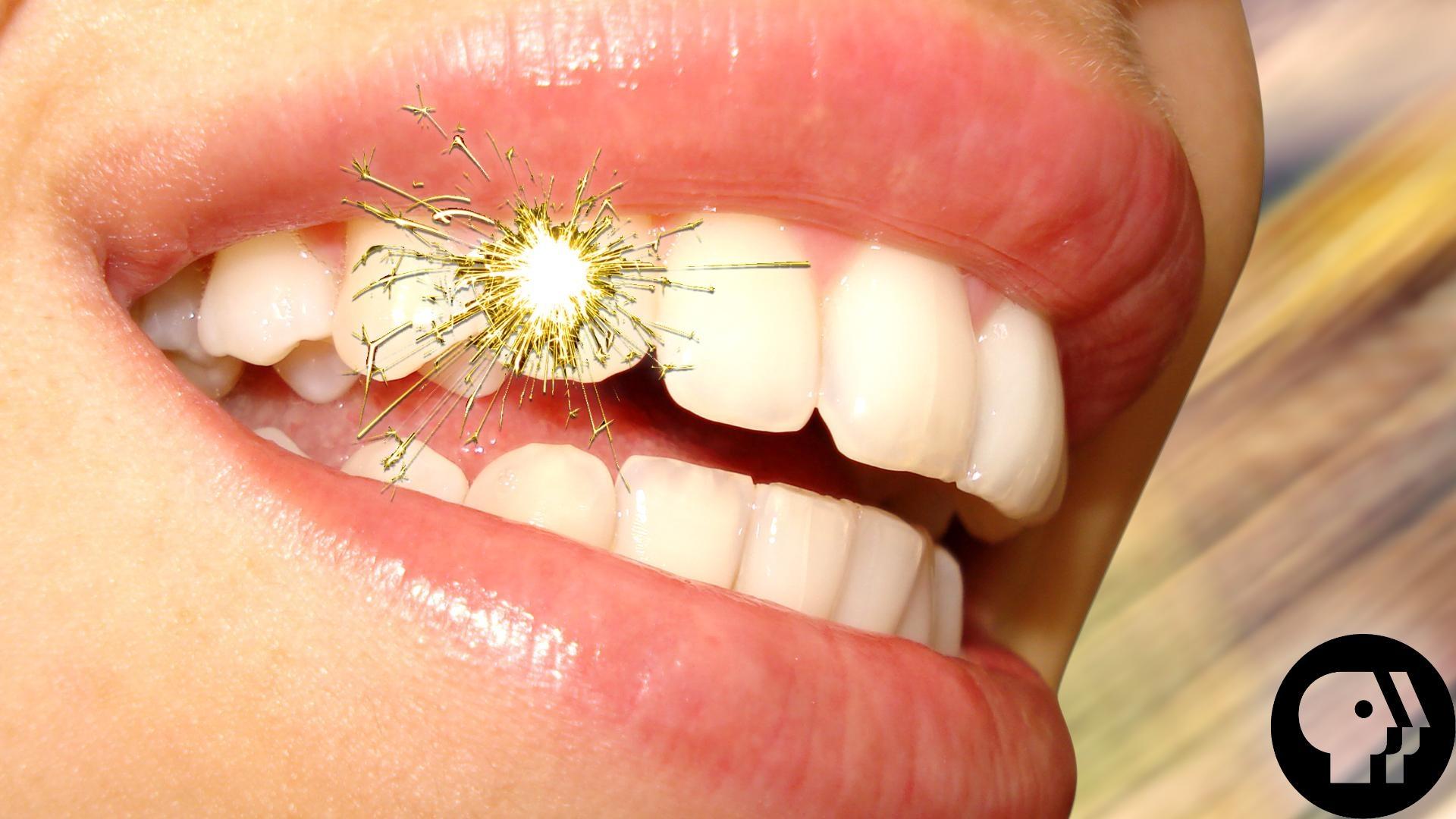 What a Tooth Reveals About Autism | Braincraft | PBS LearningMedia