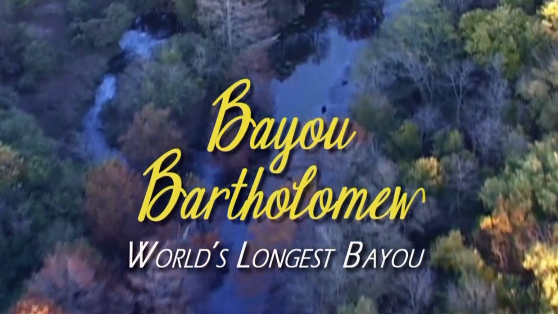 Bayou Bartholomew: World's Longest Bayou | PBS LearningMedia