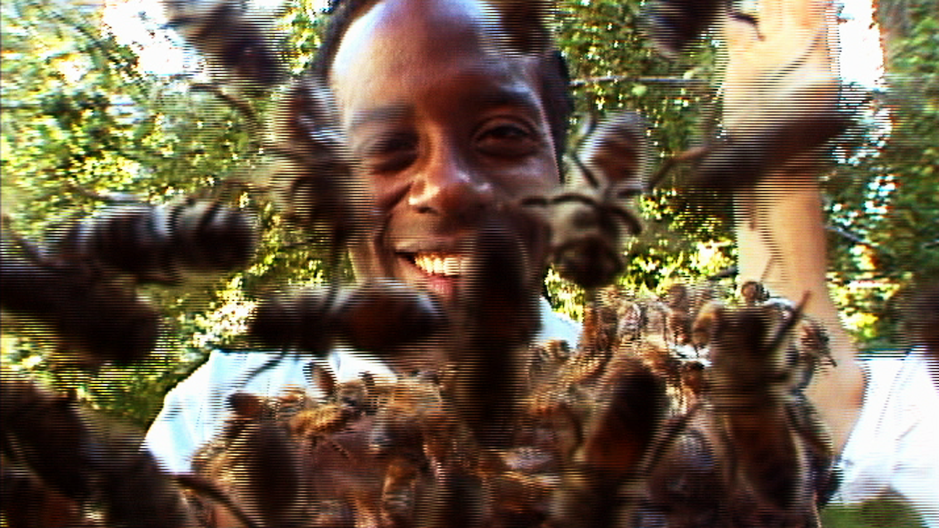 Bees | PBS LearningMedia