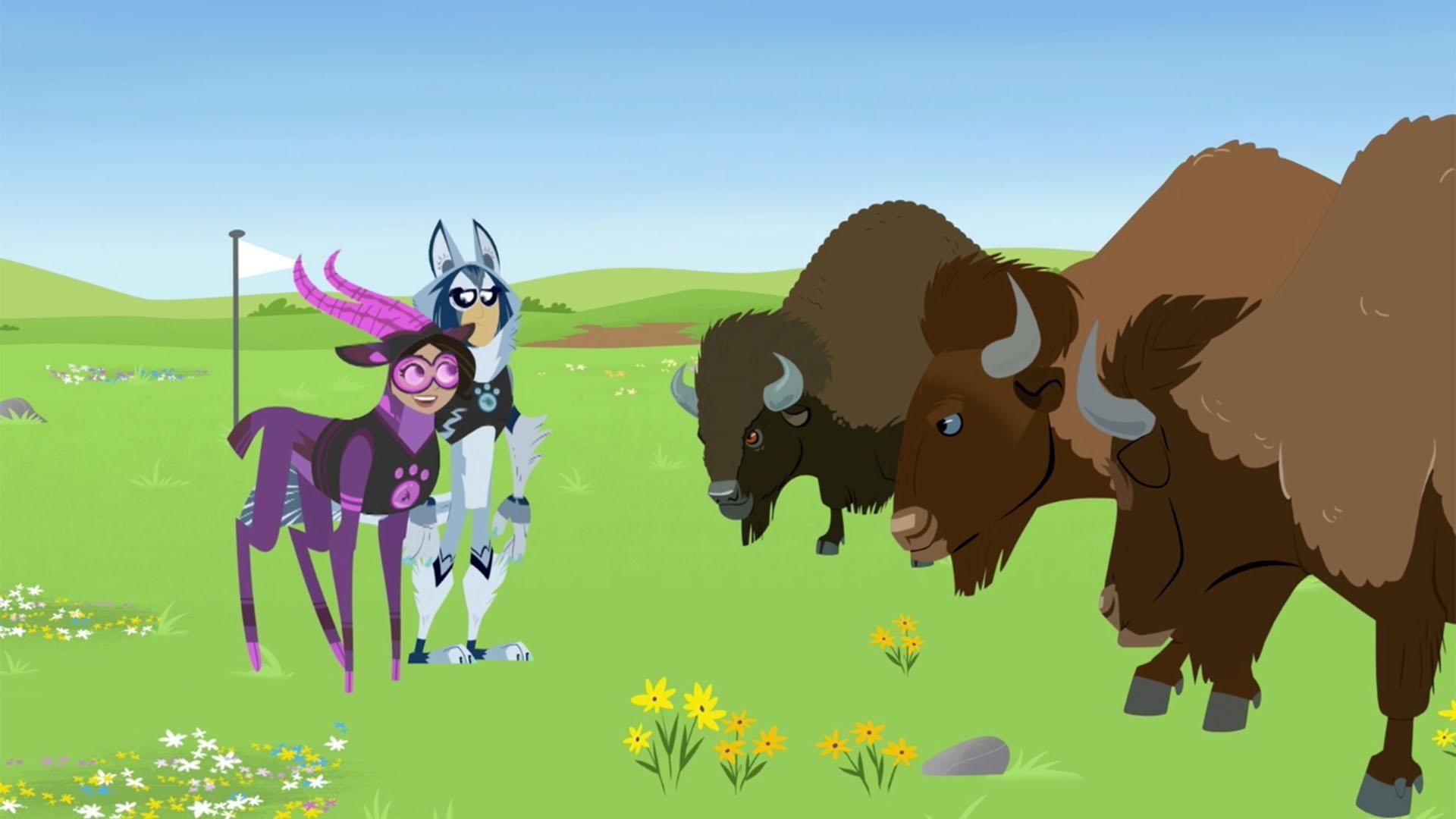 Bison Roadblock | Wild Kratts | PBS LearningMedia