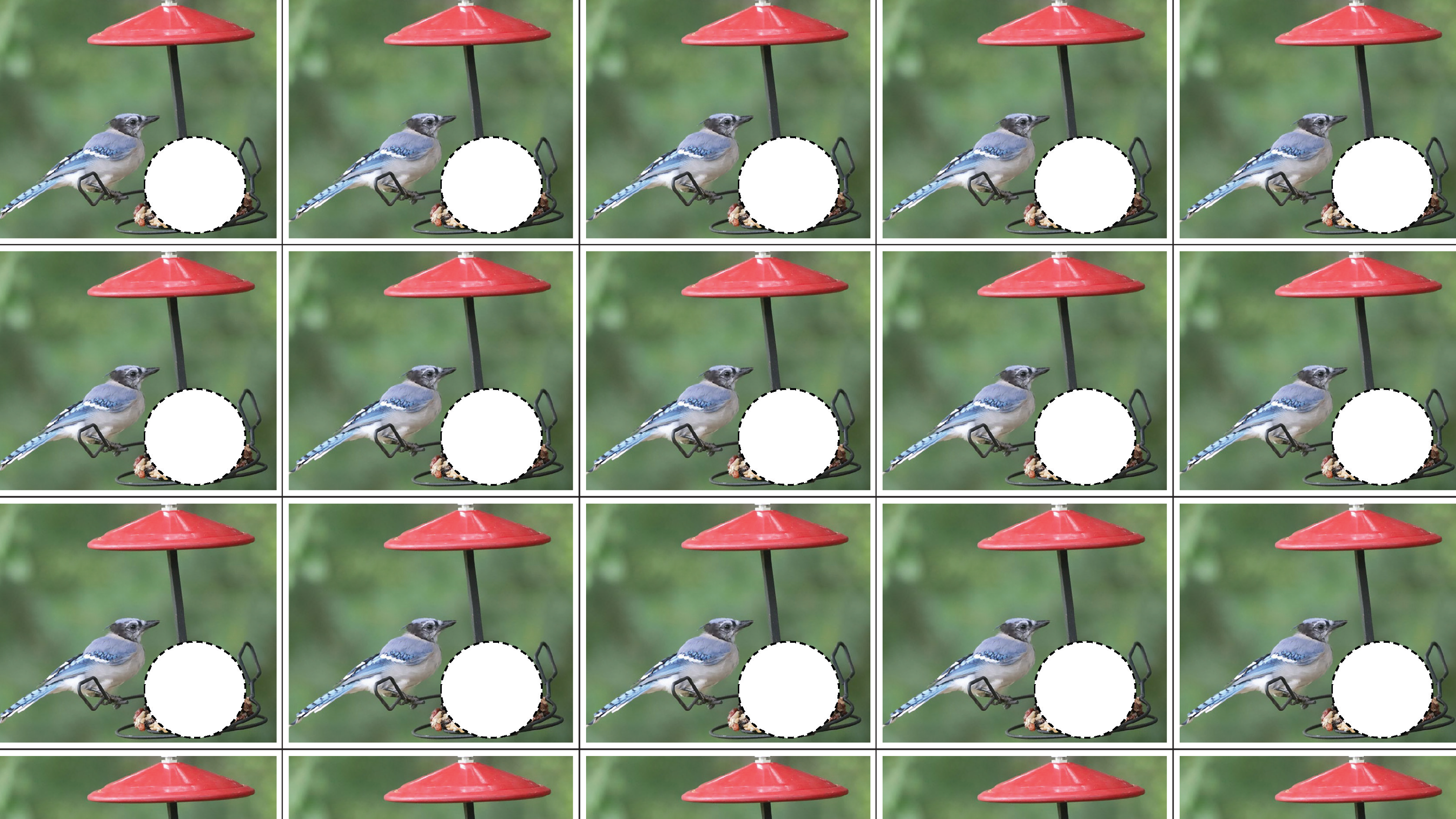 Blue Jay Tile Squirrel for Plate Maze Activity: Animal Adventures Camp ...