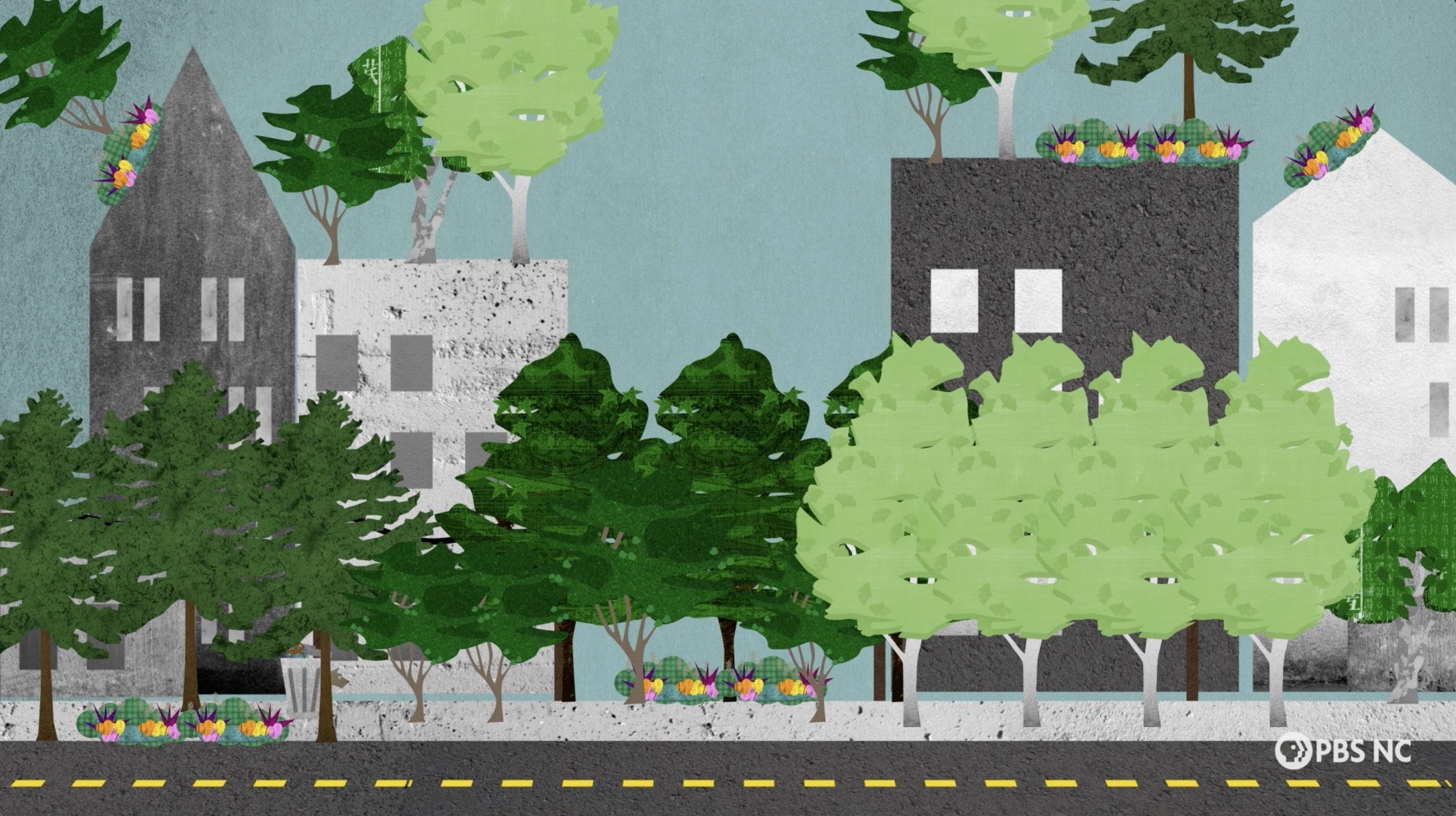 Building Urban Forests | PBS NC Science | PBS LearningMedia