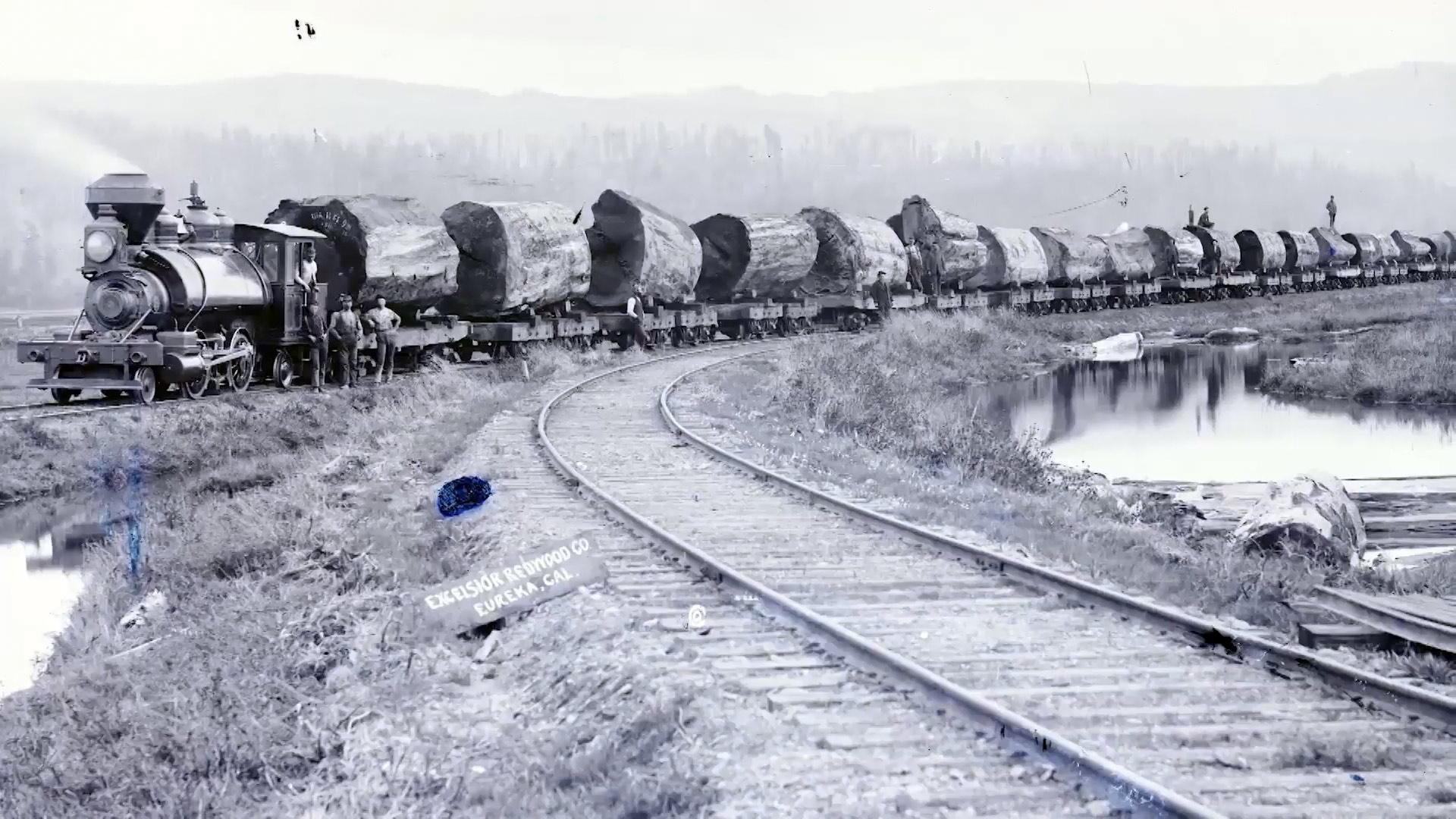 Building the Metropolis: Impacts of Building Los Angeles | Lost LA ...