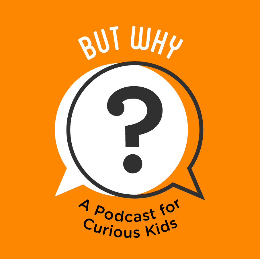Sky | But Why Podcast & Learning Guide | Grades PreK-K, K-2, 3-5 ...