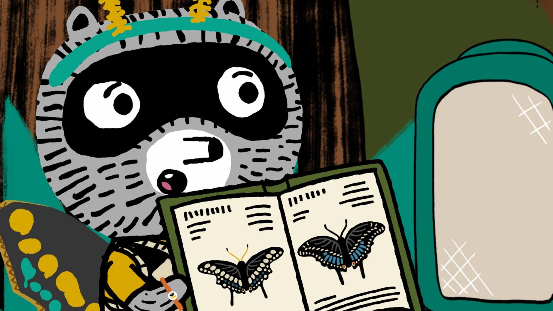 The Butterfly Collection | Carl the Collector | Grades PreK-K, K-2, 3-5 ...
