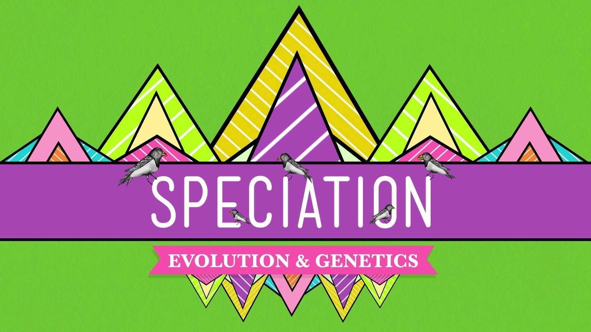 Speciation