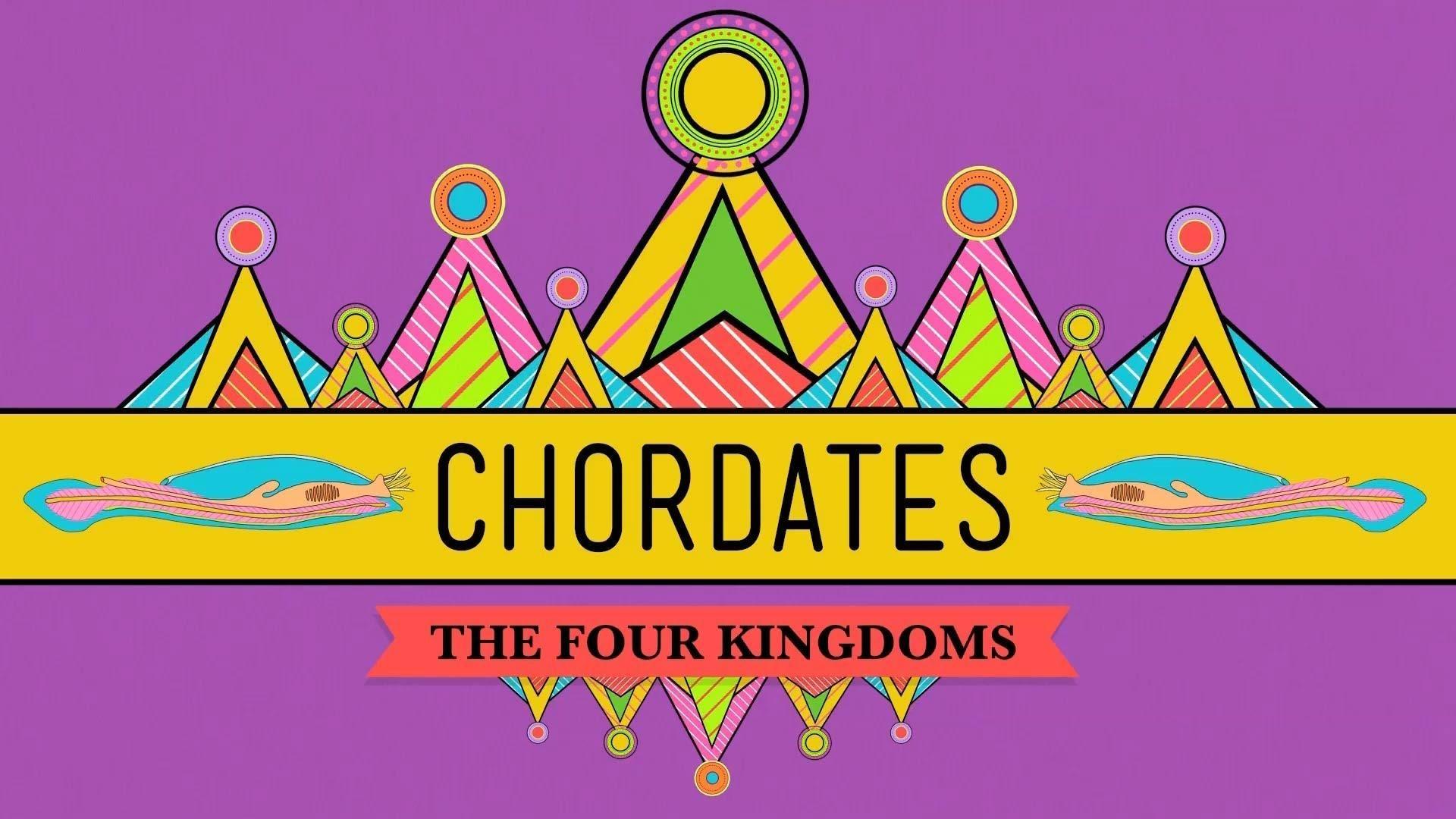 Chordates | Crash Course Biology | PBS LearningMedia