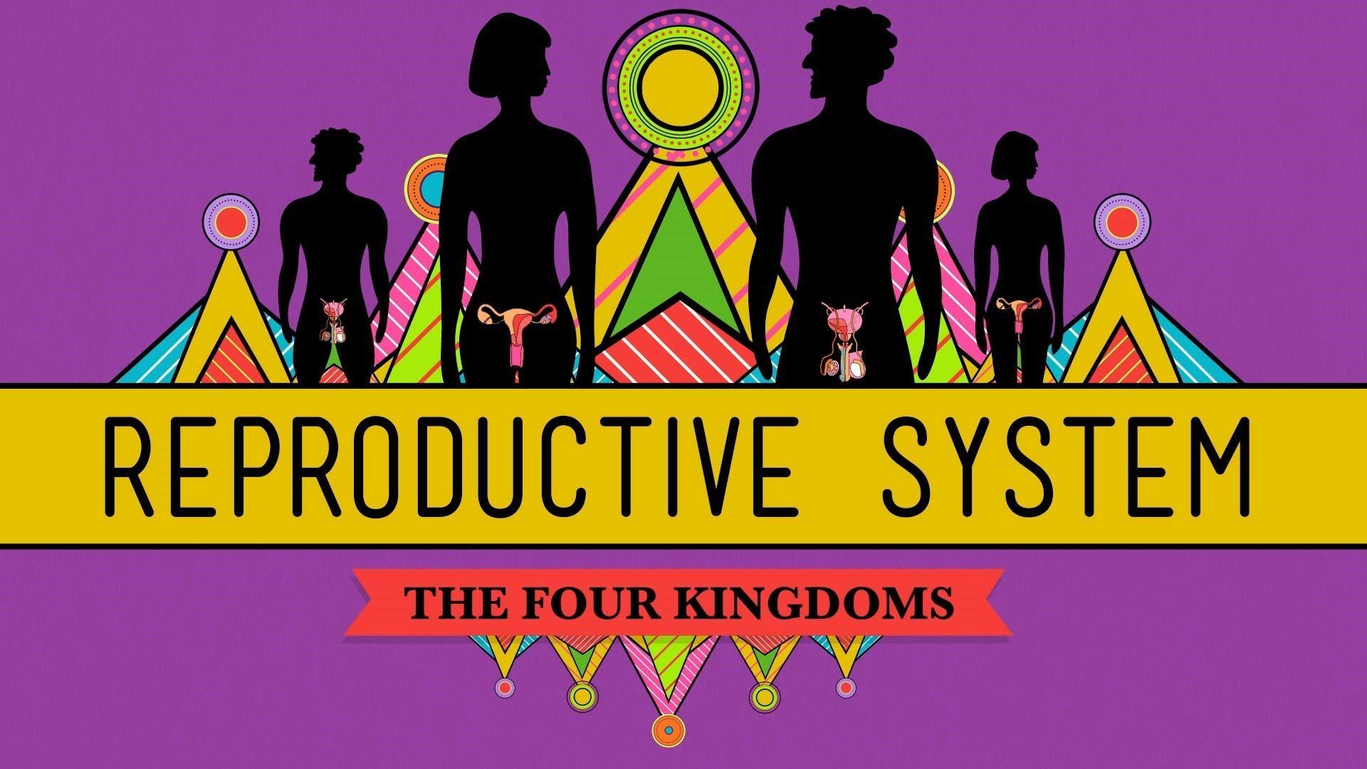 The Reproductive System: How Gonads Go | Crash Course Biology | PBS ...