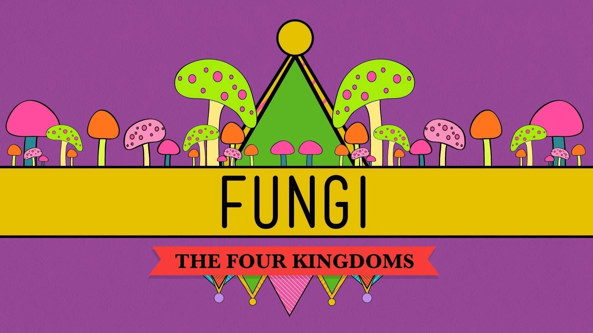 Fungi: Death Becomes Them | Crash Course Biology | Grades 9-12, 13 ...