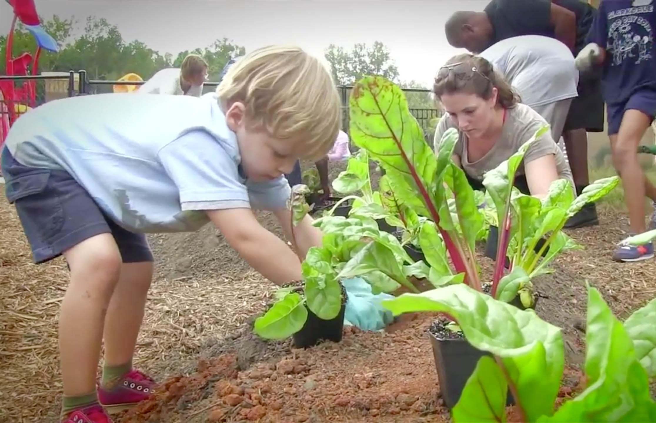 Captain Planet's Learning Gardens Program | Project Learning Garden ...
