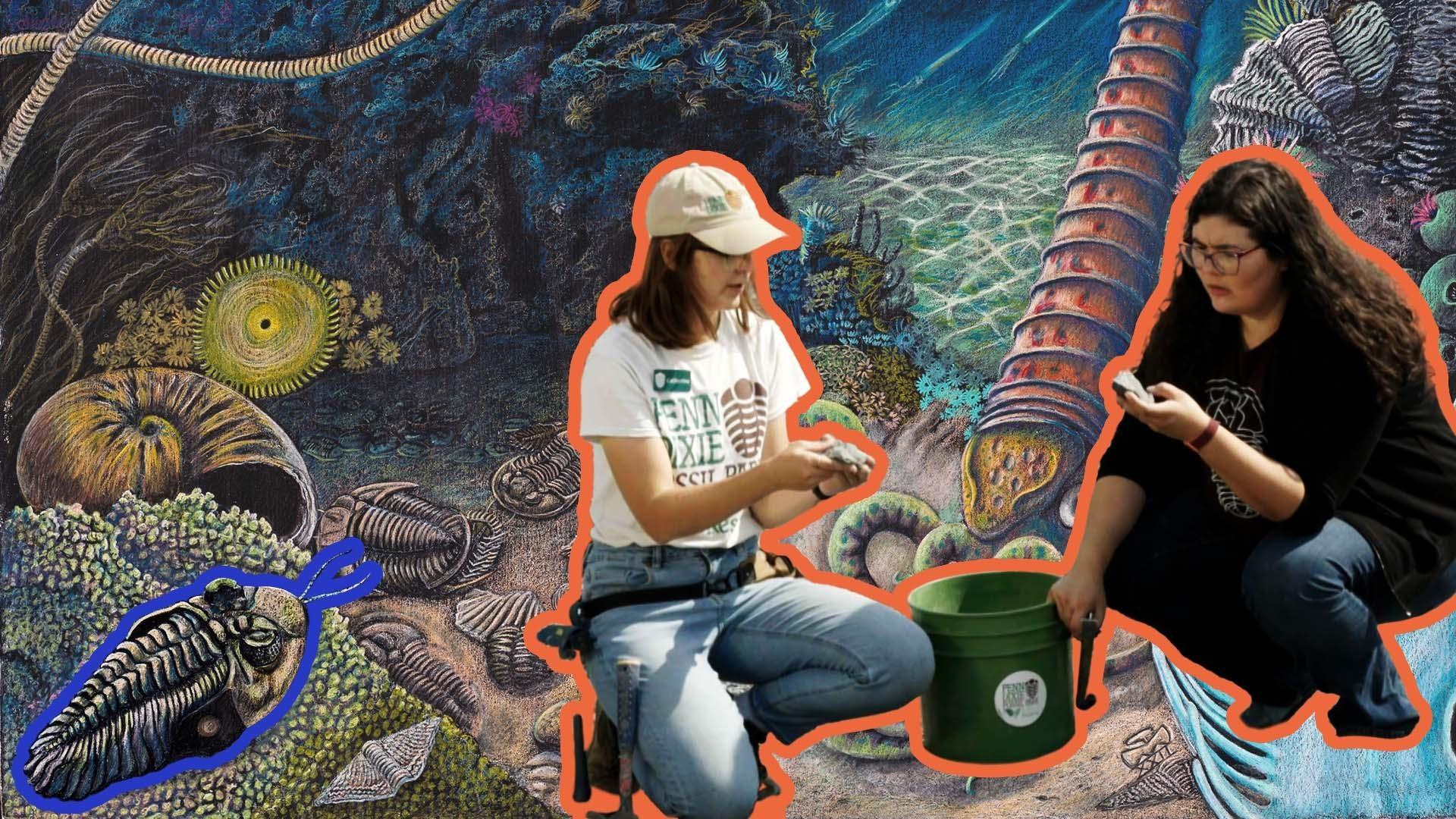 WNY's Devonian Past | Compact Science | PBS LearningMedia