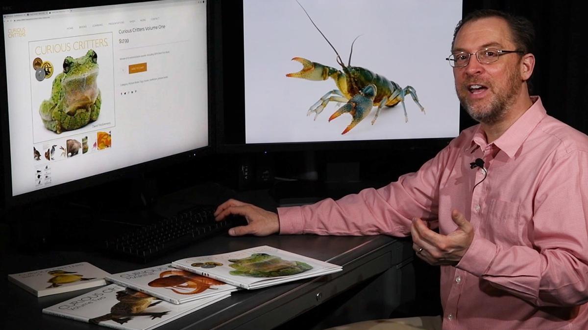 Curious Critters: Ohio Crawfish, by David FitzSimmons | Wild for Ohio ...