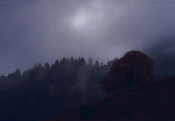 The Forest & The Weather | PBS LearningMedia