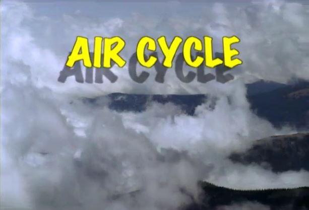 The Forest and The Air Cycle | The Forest Files | Grades 3-5, 6-8 ...