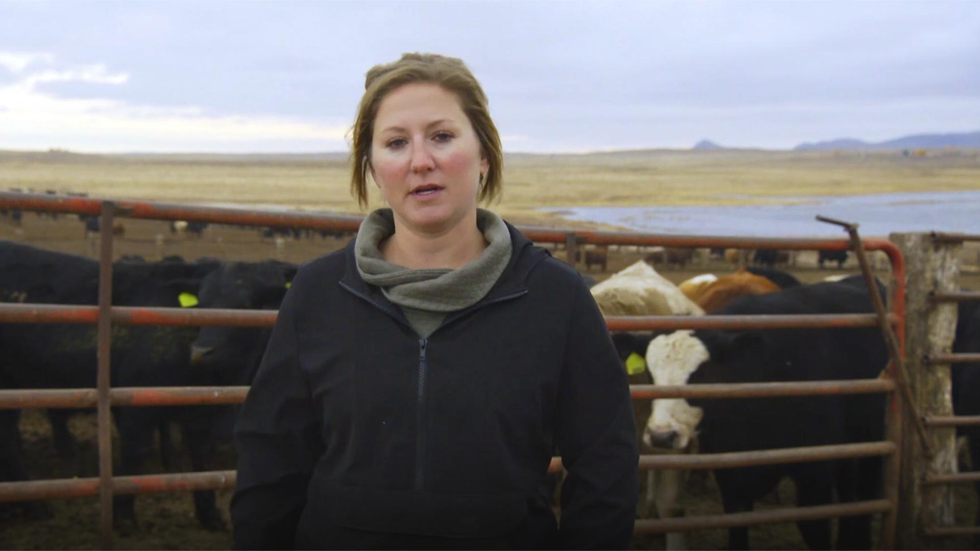 Cassie Lapaseotes: Manager, Lapaseotes Feed Yard | What If - Innovator ...