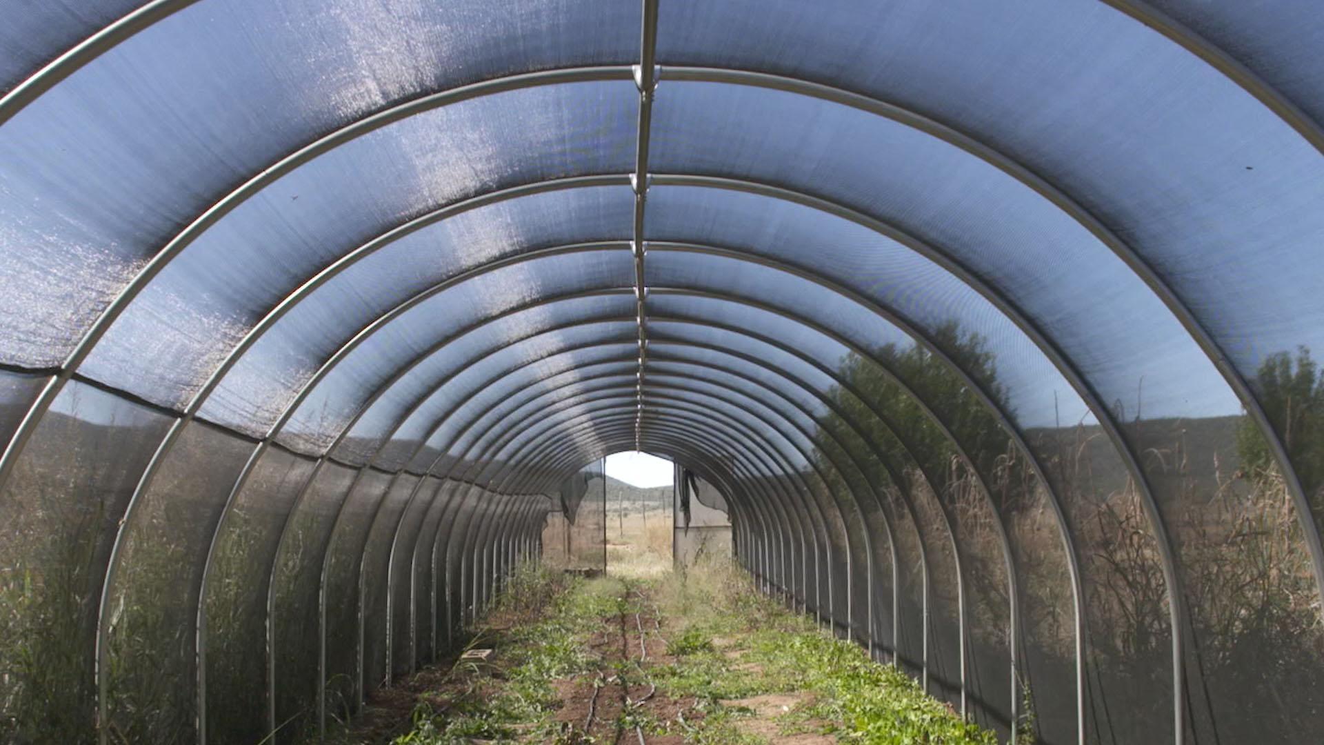 The Colorado Plateau: Preserving Traditional Knowledge | The Arizona ...