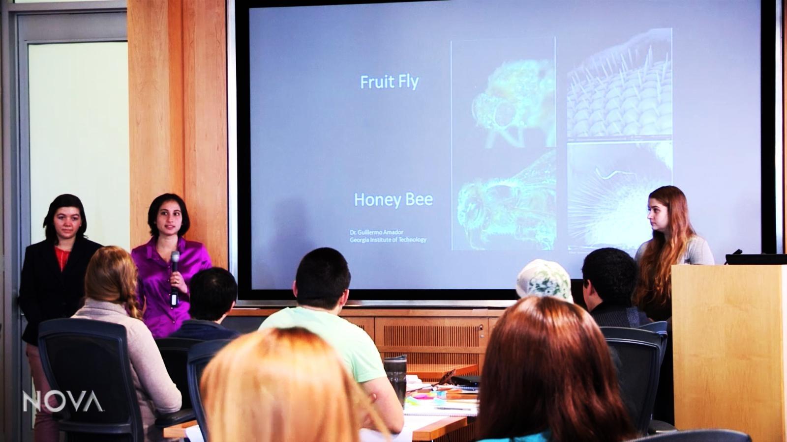 Communicating Ideas | Lesson Plan | PBS LearningMedia