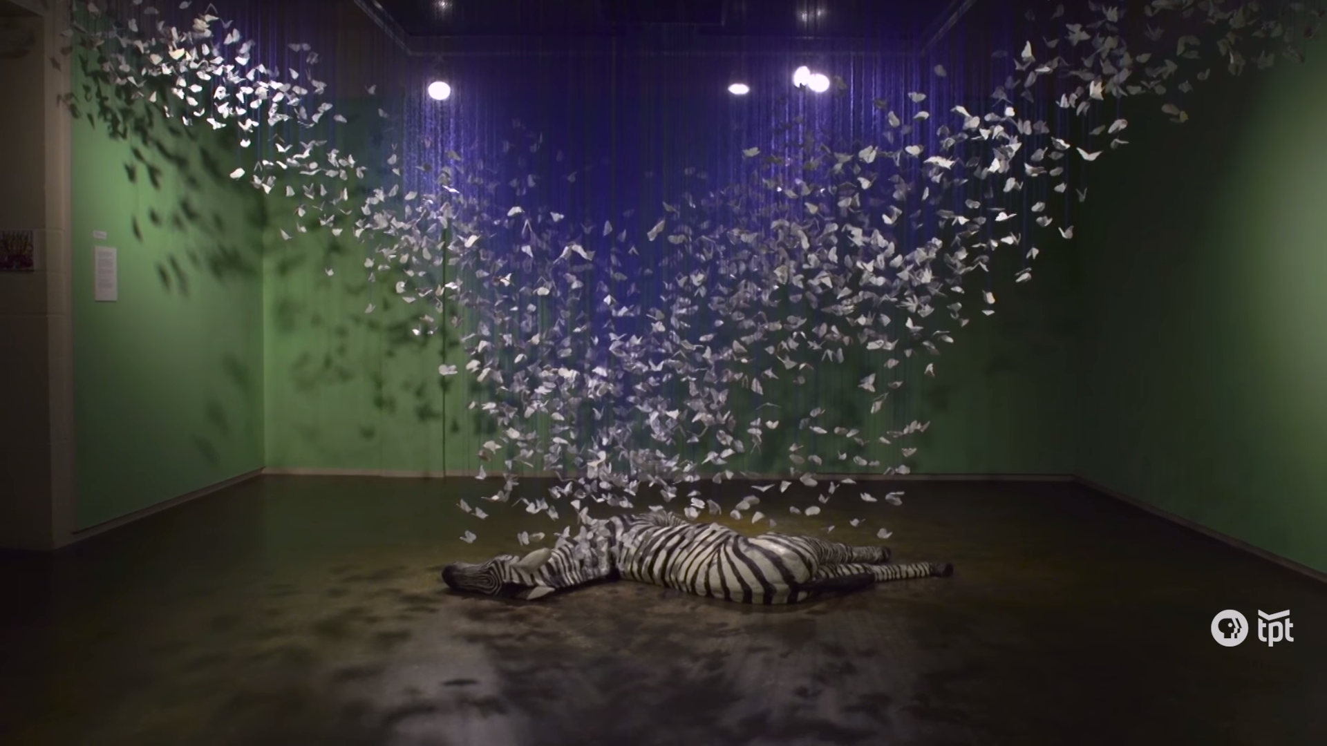 MN Original | Ceramicist Kelly Connole | PBS LearningMedia