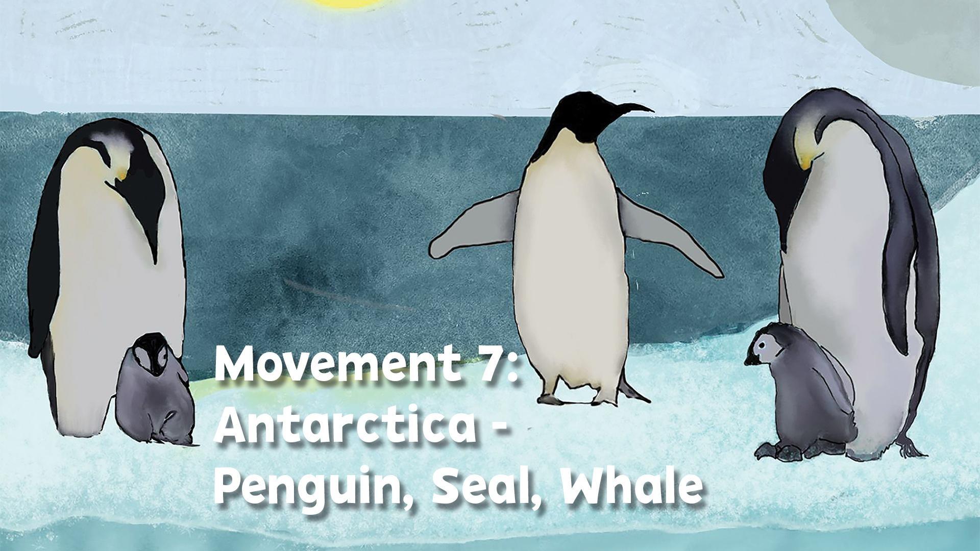 Movement 7: Antarctica - Penguin, Seal, Whale | Carnival of the Animals ...