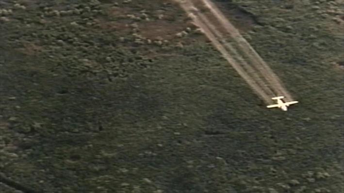 Agent Orange and the Vietnam War | Iowans Remember Vietnam | Social ...