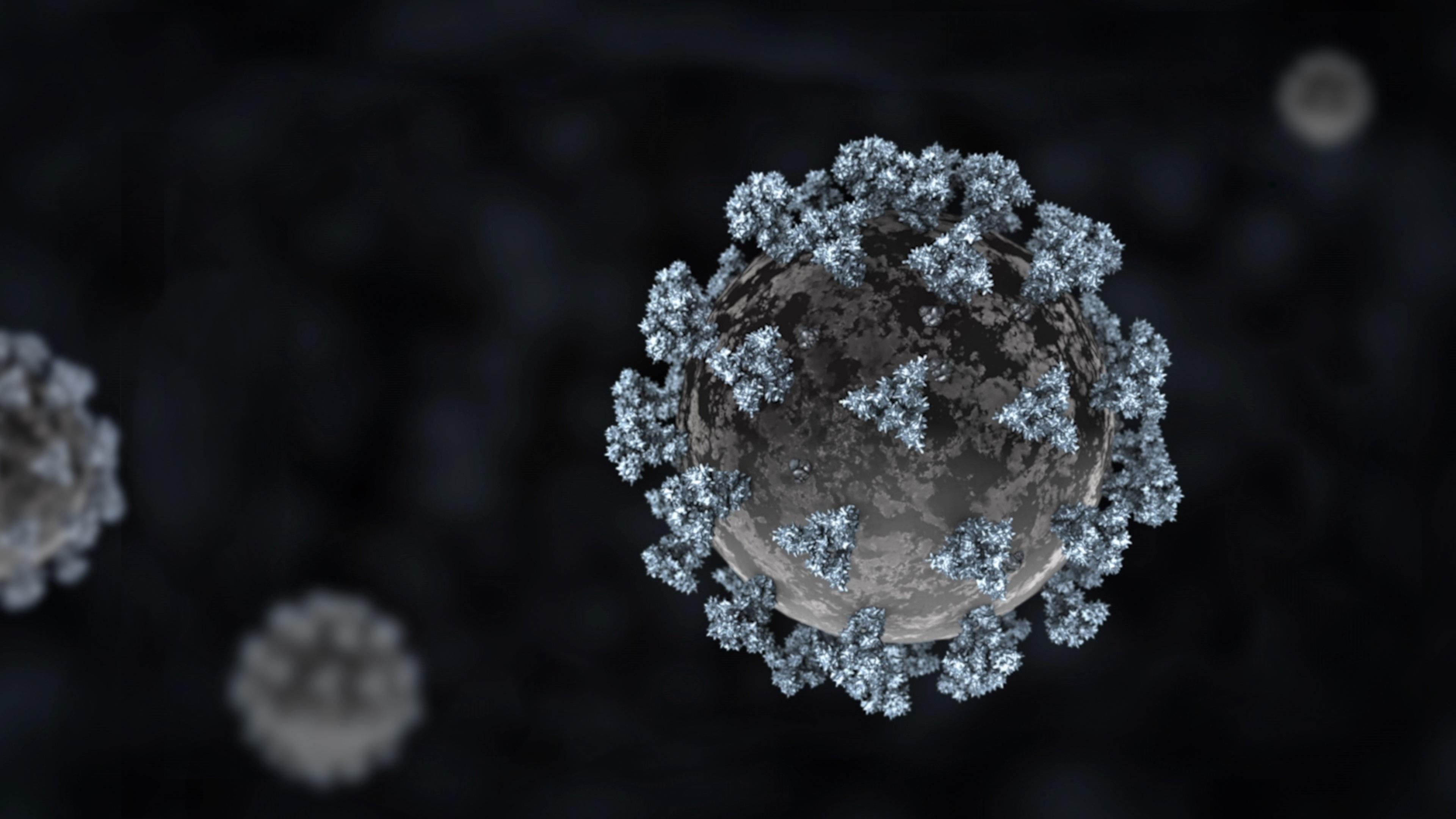 How the Coronavirus Attacks Your Lungs | Deep Look | Grades 6-8, 9-12 ...